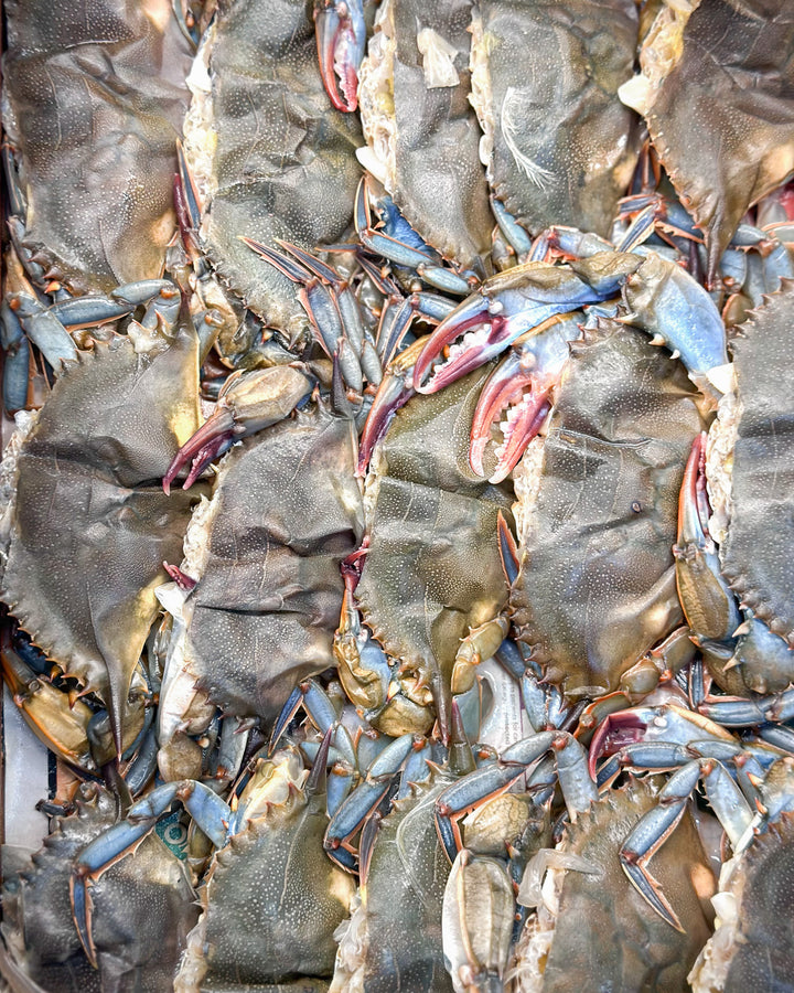 Seafood Market – Yellow Umbrella RVA