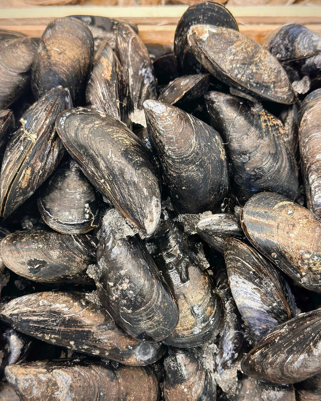 Seafood Market – Yellow Umbrella RVA