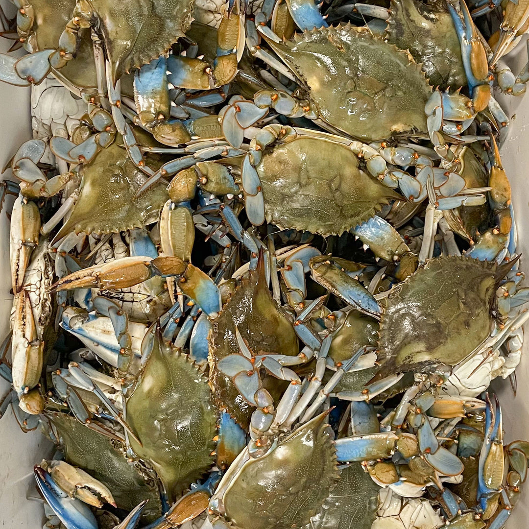 Seafood – Yellow Umbrella RVA